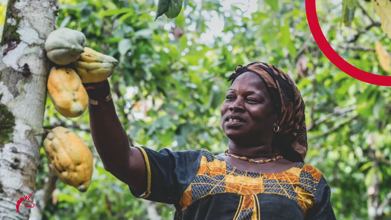 Cacao-Trace leads the way to a truly sustainable future for the cocoa ...